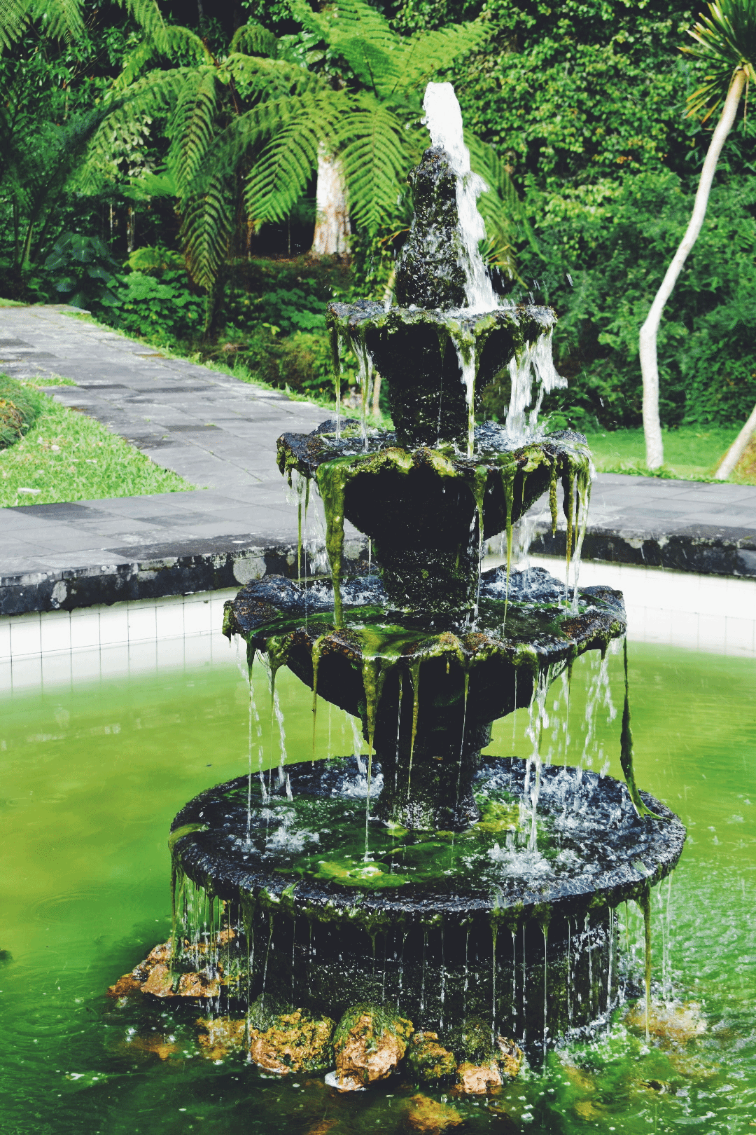 巴厘岛 | 仿佛闯入了神明居住的世界-巴厘岛旅游攻略-游记-去哪儿攻略