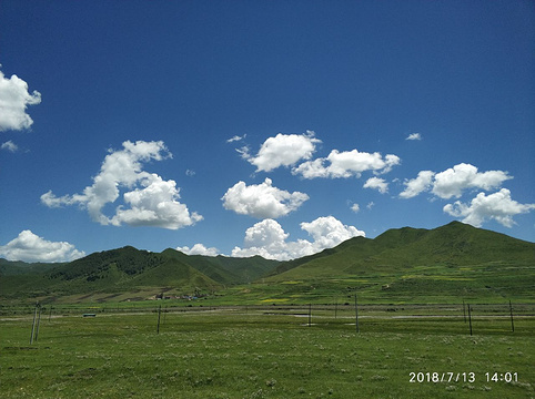 2024郭莽湿地-旅游攻略-门票-地址-问答-游记点评，碌曲旅游旅游景点推荐-去哪儿攻略