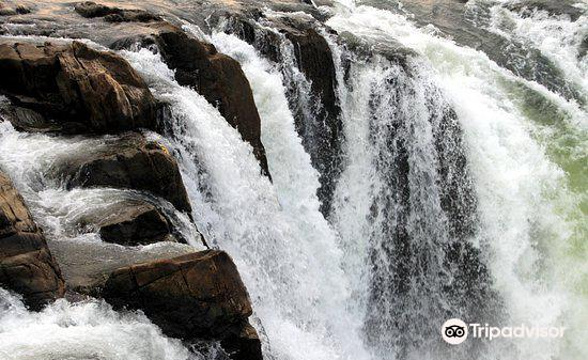 2023Dhuandhar Falls-旅游攻略-门票-地址-问答-游记点评，贾巴尔普尔旅游旅游景点推荐-去哪儿攻略