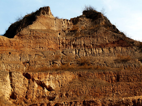 2021洛川黄土国家地质公园-旅游攻略-门票-地址-问答-游记点评，洛川旅游旅游景点推荐-去哪儿攻略