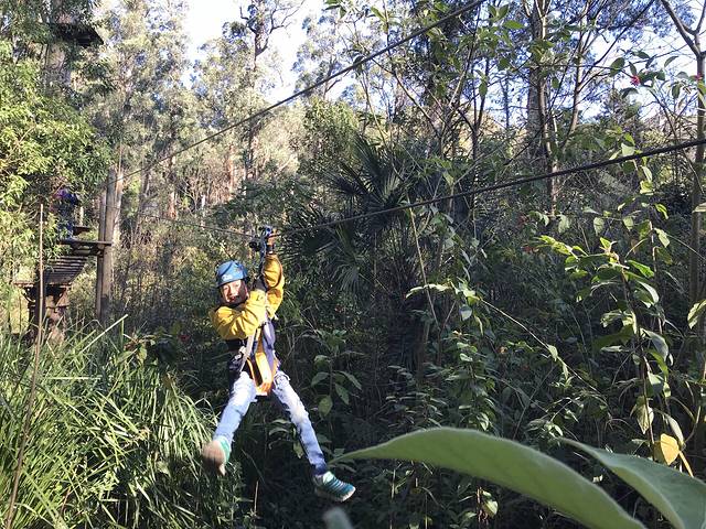 2024Trees Adventure - Glen Harrow Park门票,贝尔格雷夫Trees Adventure - Glen Harrow Park游玩攻略,Trees ...