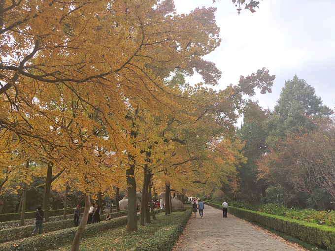 三年后的邂逅——南京-南京旅游攻略-游记-去哪儿攻略