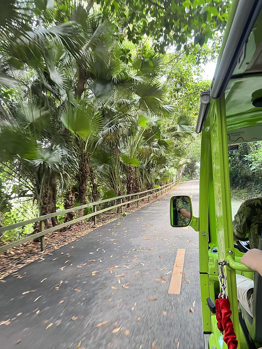 来海南除了海岛还有热带雨林！-保亭旅游攻略-游记-去哪儿攻略
