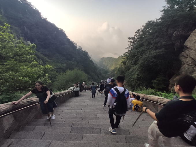 泰山夜爬看日出-泰山旅游攻略-游记-去哪儿攻略