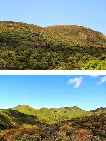 2024新西兰北岛小富士山（Taranaki）徒步攻略🗻_Eastern Taranaki Experience-评论-去哪儿攻略