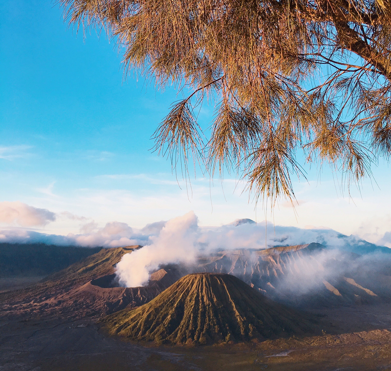 💙印尼旅行💙站在活火山口是什么体验？火山深海全攻略 -布罗旅游攻略-游记-去哪儿攻略