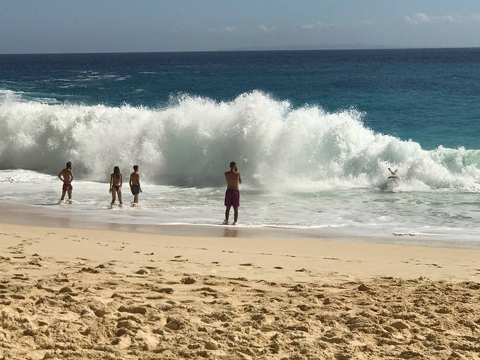 巴厘岛1日游-巴厘岛旅游攻略-游记-去哪儿攻略