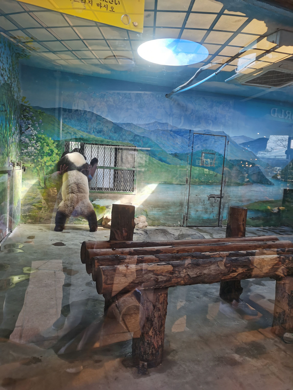 2岁萌宝玩转上海5天4晚攻略大全-上海旅游攻略-游记-去哪儿攻略