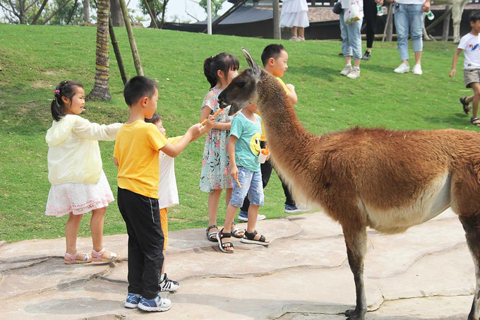 紧急攻略 | 国庆7天去哪里,人少不堵车还免费?-南通旅游攻略-游记-去哪儿攻略