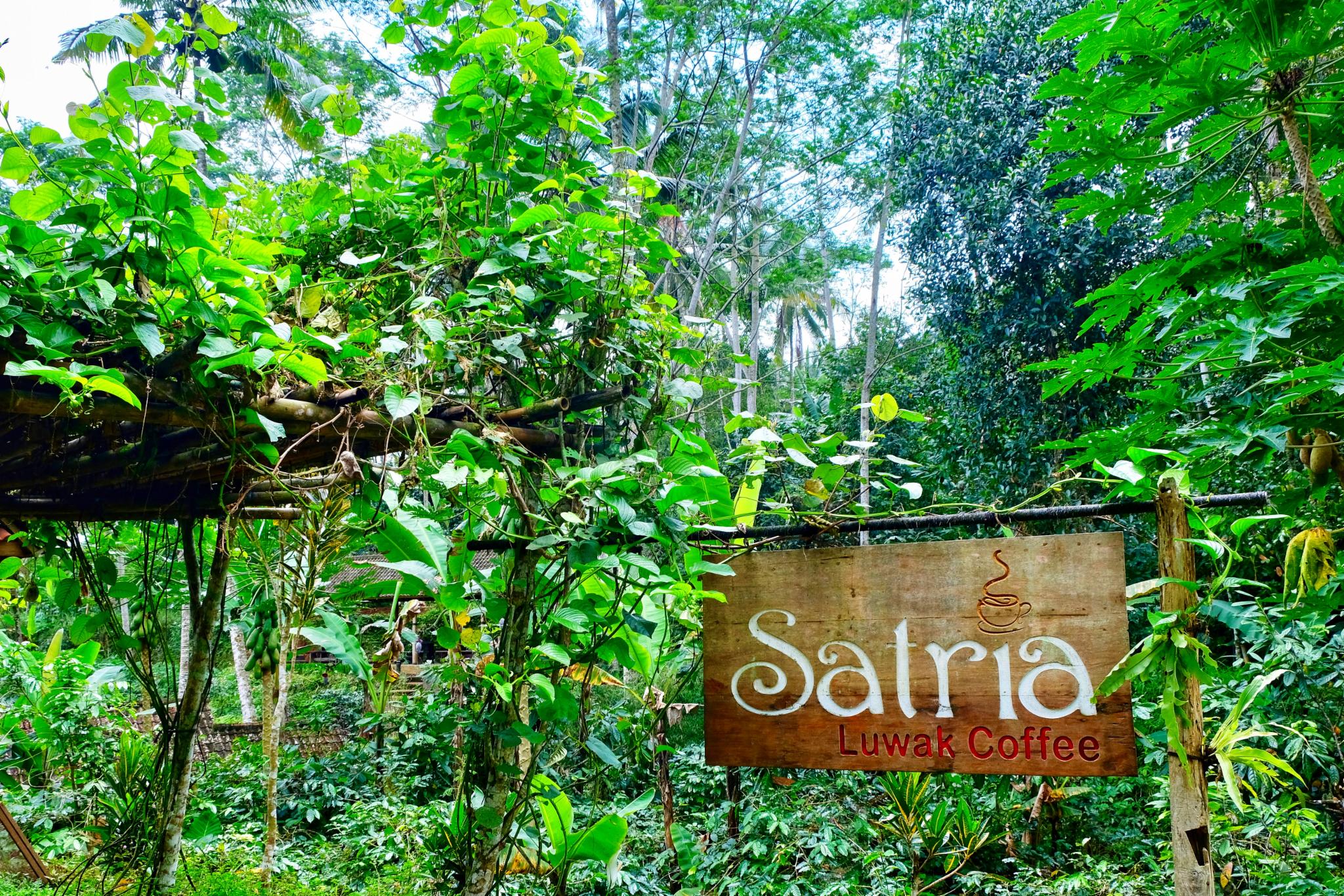 2024Warung Satria美食餐厅,咖啡园里的重头戏是品尝各式...【去哪儿攻略】