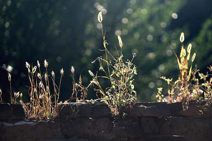 京郊古村落【长峪城村】、红色旅游地【狼儿峪村】，昌平的美丽乡村-北京旅游攻略-游记-去哪儿攻略
