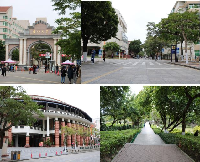 路线和费用超详细的厦门三天行：含厦大,曾厝垵,南普陀寺,五老峰,鼓浪屿等-厦门旅游攻略-游记-去哪儿攻略