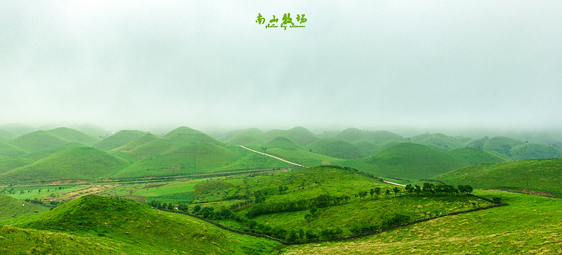 2020南山牧场-旅游攻略-门票-地址-问答-游记点评，城步旅游旅游景点推荐-去哪儿攻略