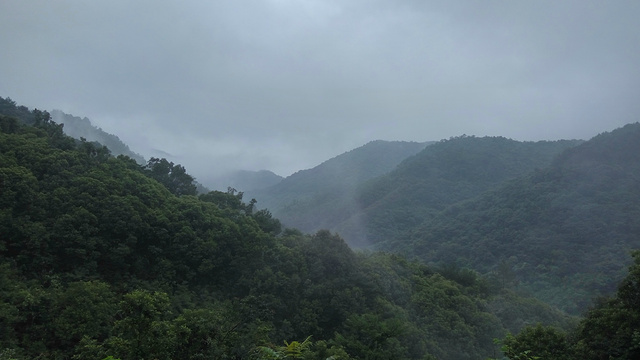 2019奇石河-旅游攻略-门票-地址-问答-游记点评，四会旅游旅游景点推荐-去哪儿攻略