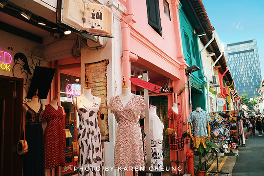 2024哈芝巷-旅游攻略-门票-地址-问答-游记点评，新加坡旅游旅游景点推荐-去哪儿攻略