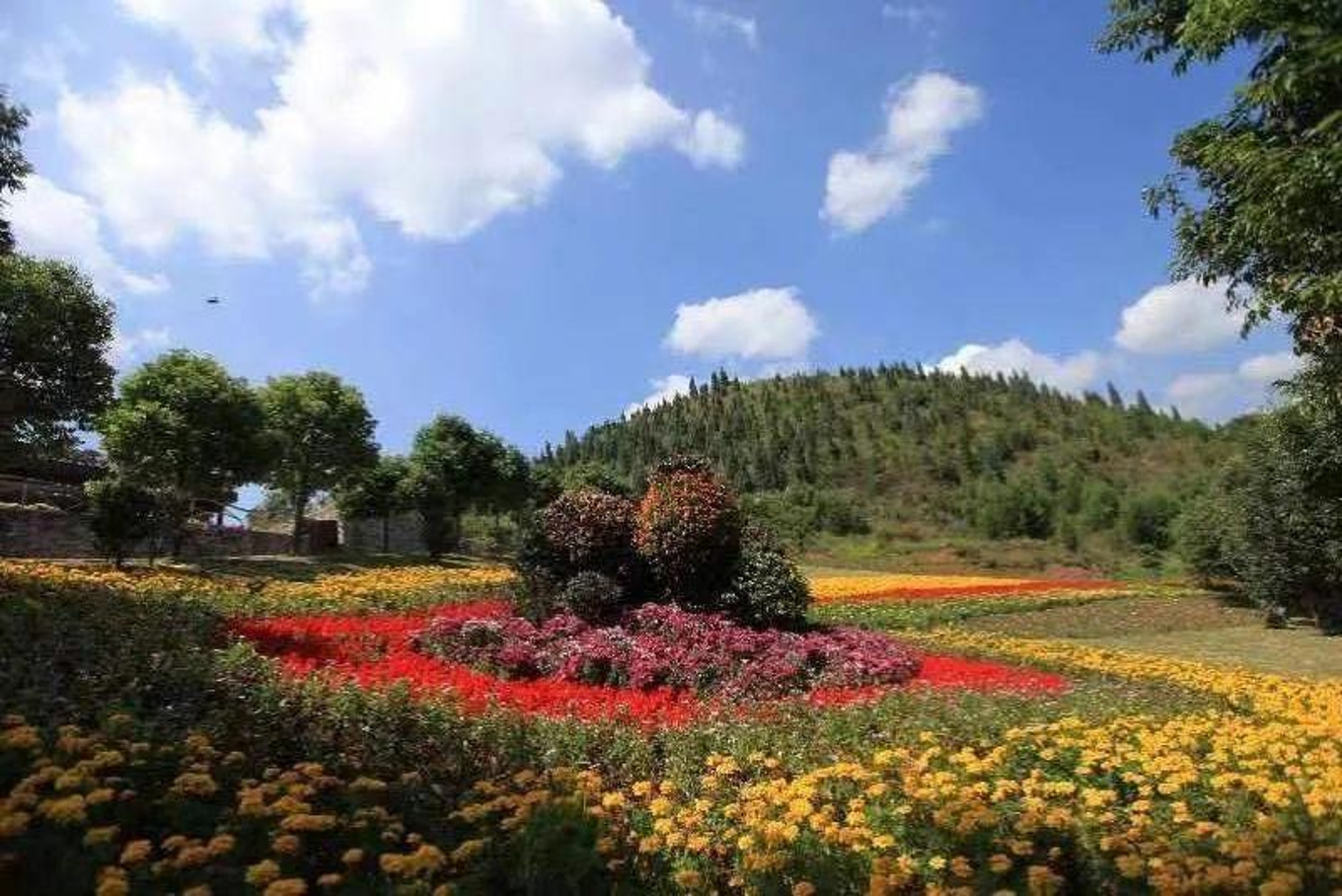 乡游黔中|贞丰县兴农村：穿梭峰林小道，邂逅布依魅力风情-贞丰旅游攻略-游记-去哪儿攻略