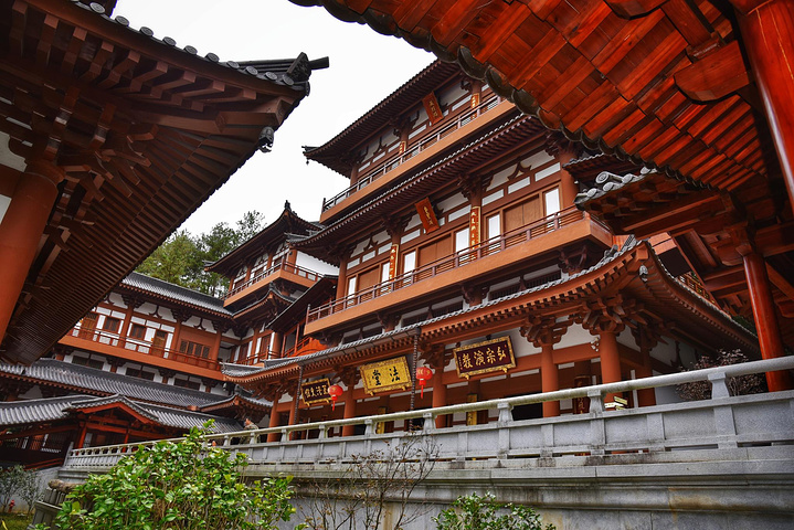 2024安佛寺，和其他地方的寺庙不一样，它只开放了一小部分地方给游客，但依然有很多游人前来参拜。为什么呢_安福寺-评论-去哪儿攻略