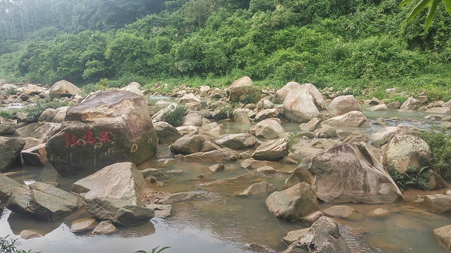 2019奇石河-旅游攻略-门票-地址-问答-游记点评，四会旅游旅游景点推荐-去哪儿攻略