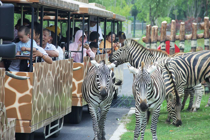 紧急攻略 | 国庆7天去哪里,人少不堵车还免费?-南通旅游攻略-游记-去哪儿攻略