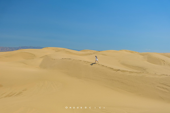 大美鄂尔多斯，奔赴一场沙漠与草原的约定（6天7夜之旅）-鄂尔多斯旅游攻略-游记-去哪儿攻略