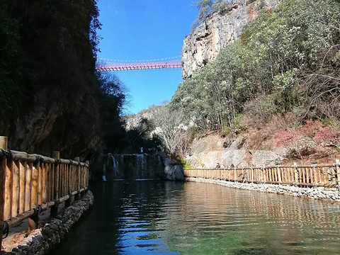 2020东巴谷-旅游攻略-门票-地址-问答-游记点评，丽江旅游旅游景点推荐-去哪儿攻略