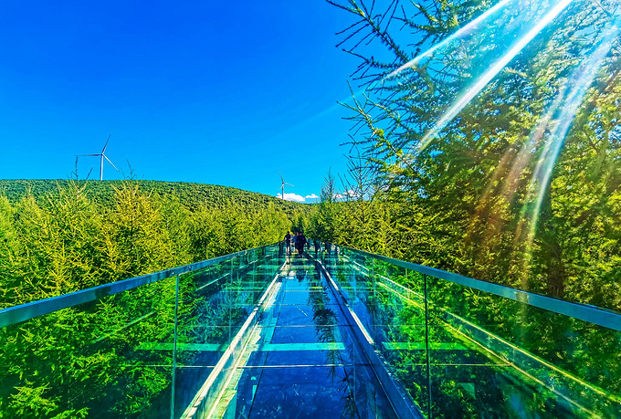 七彩森林景区夏日的无限美好-丰宁旅游攻略-游记-去哪儿攻略