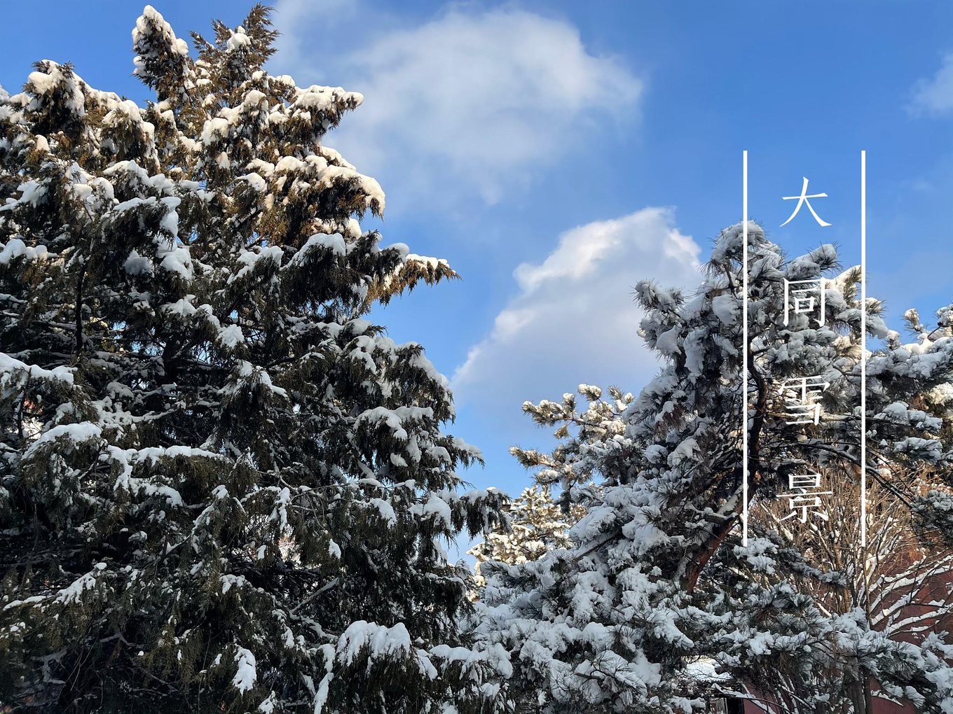 大同旅行计划5日（Datong Travel 5 Days)-大同旅游攻略-游记-去哪儿攻略