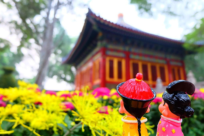 文末有福利|旅拍：陪伴胜过技术，真情重于器材-旅游攻略-游记-去哪儿攻略