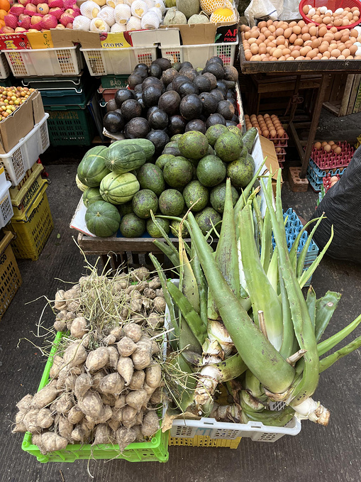 2024与缅甸来一场相遇（一）——仰光。漫步时光，慵懒散漫-仰光旅游攻略-游记-去哪儿攻略