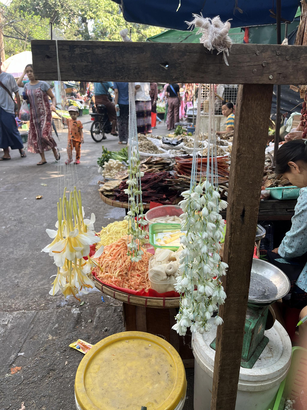 2024与缅甸来一场相遇（一）——仰光。漫步时光，慵懒散漫-仰光旅游攻略-游记-去哪儿攻略